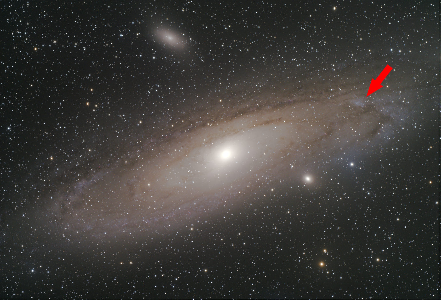 NGC 206, a Star Cloud in a different Galaxy